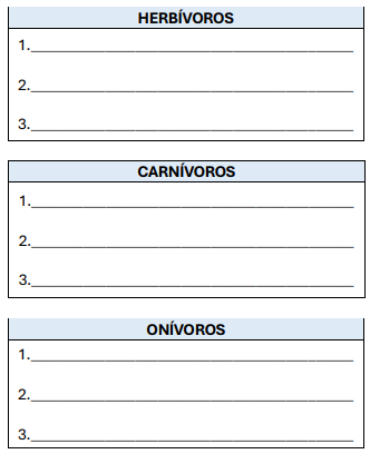 Alimentação dos Animais: Atividade para o 3º e 4º ano - Tudo Sala de Aula